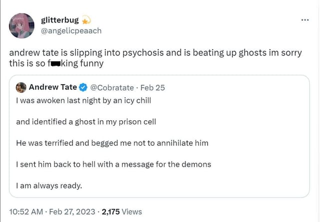"Slipping into psychosis": Andrew Tate ghost tweet sparks hilarious ...