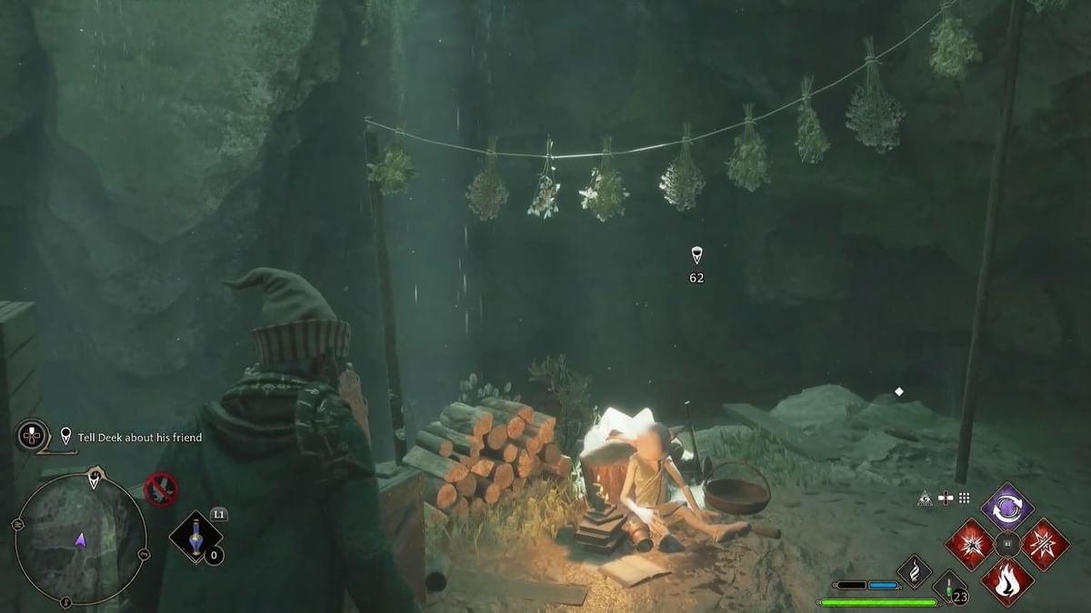 Hogwarts Legacy walkthrough: How to complete The Plight of the House ...