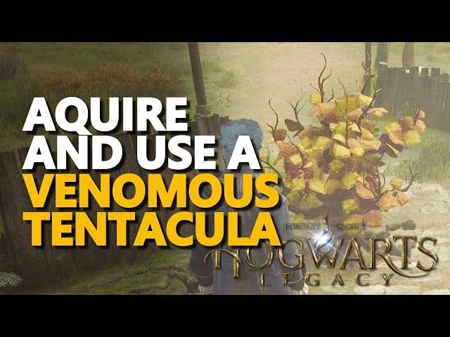 How to unlock Wingardium Leviosa in Hogwarts Legacy?