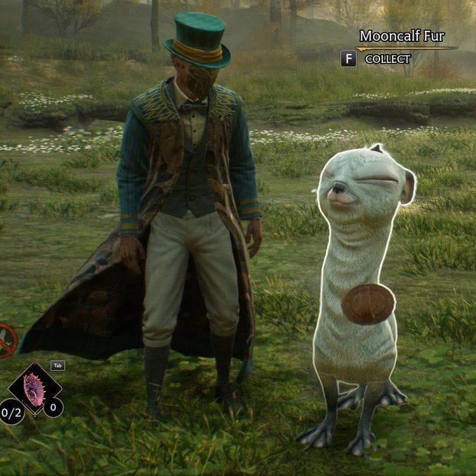 How to find Mooncalves and obtain Mooncalf Fur in Hogwarts Legacy