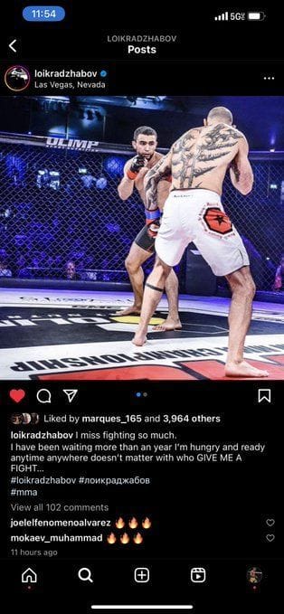 Did Brandon Jenkins get removed from TUF 31 by Conor McGregor? Here’s ...