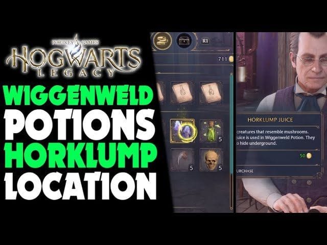 How to obtain Dittany Leaves in Hogwarts Legacy?