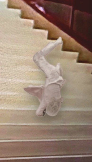 Is Lydia Tar a real person? Viral staircase tweet debunked