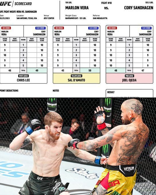 ufc judging: "Split decision? What’s this boxing?" - UFC world blasts ...