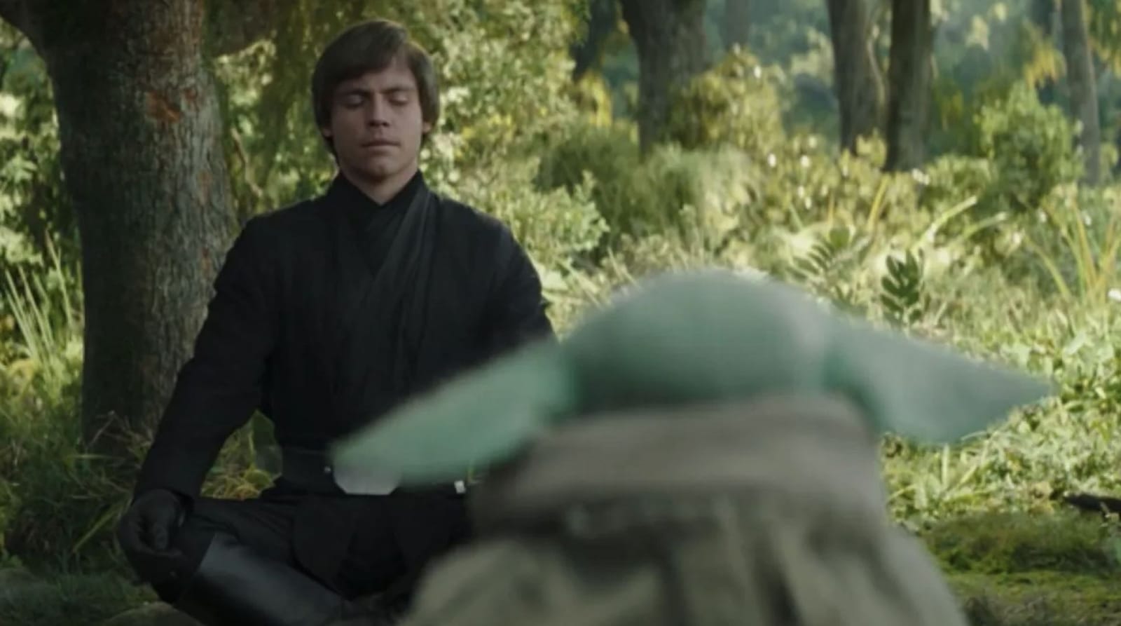 Earth's surprising connection to the Star Wars Universe