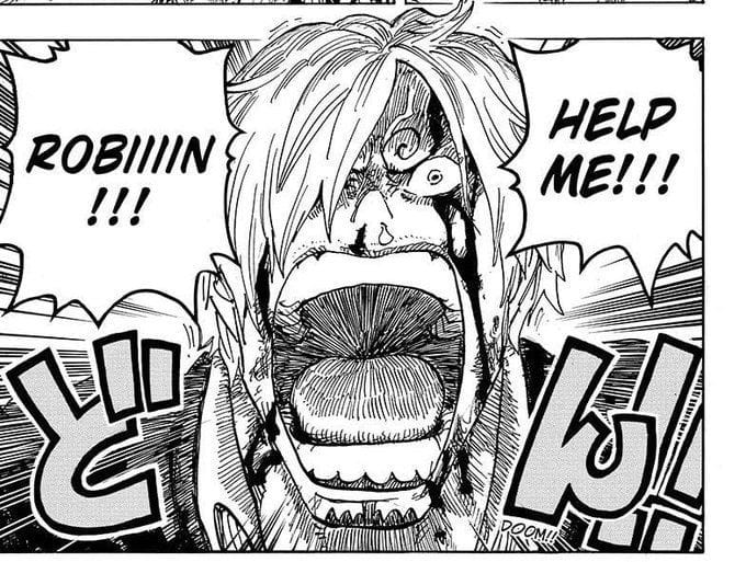 One Piece: Why Sanji doesn't hit women? Explained