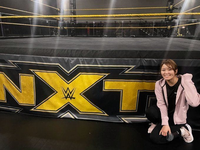 The Boss, untapped potential - 5 female stars who recently decided to ...