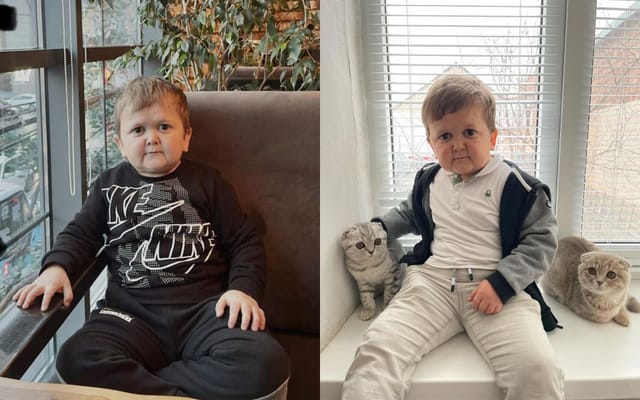 Hasbulla cat: Hasbulla defends beating his cat after social media backlash