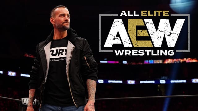 AEW star seemingly takes a dig at CM Punk following recent social media ...