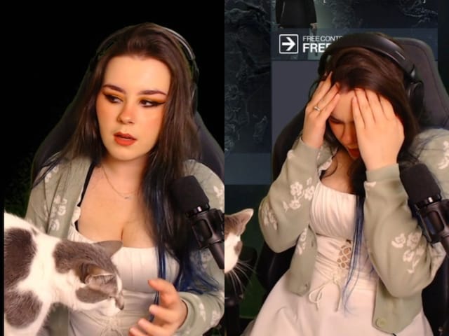 Twitch streamer exclaims in frustration after cat accidentally ends Hitman speedrun