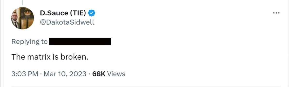 WATCH: China's 'worm rain' sparks hysterical reactions online