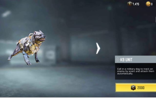 5 best items to buy from COD Mobile Credit Shop