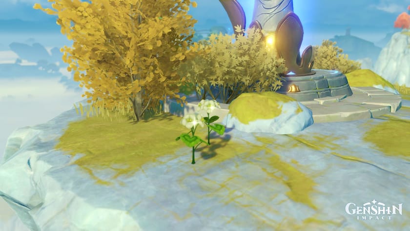 Genshin Impact Shenhe materials guide: Qingxin locations and resources list