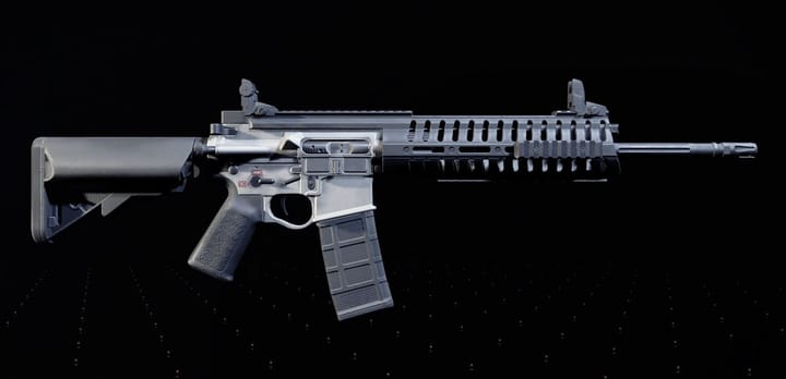 Top 5 Assault Rifles in The Division 2