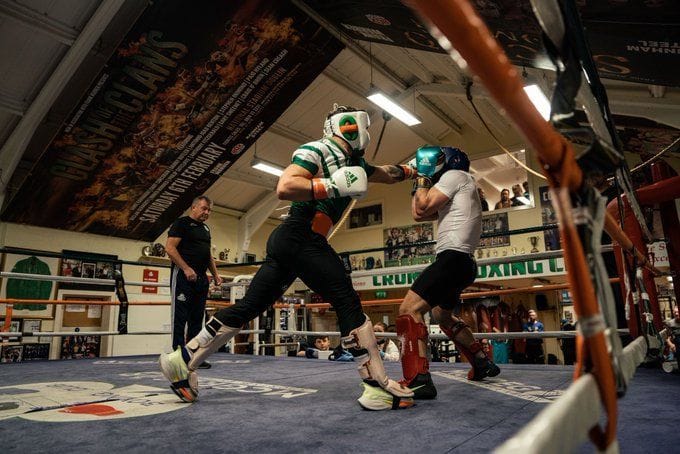 Conor McGregor using steroids: Is Conor McGregor using steroids or PEDs ...