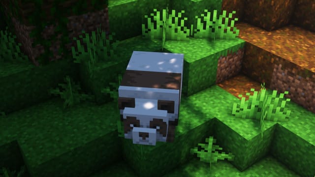 Top 5 rare Minecraft mobs and where to find them easily