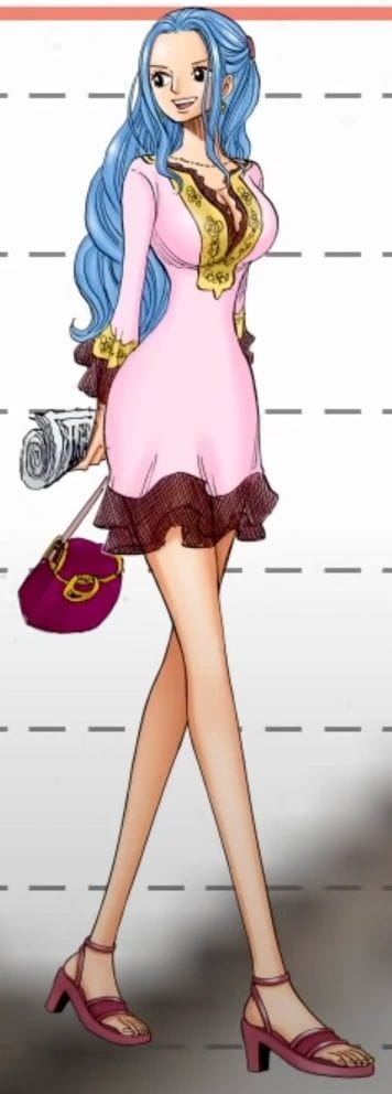 Who is Nefertari Vivi in One Piece?