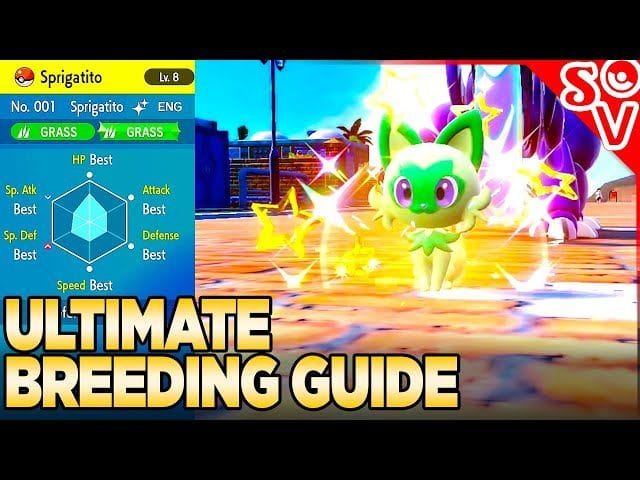 Pokemon Scarlet and Violet guide: How to get 6-IV Ditto in Paldea for ...