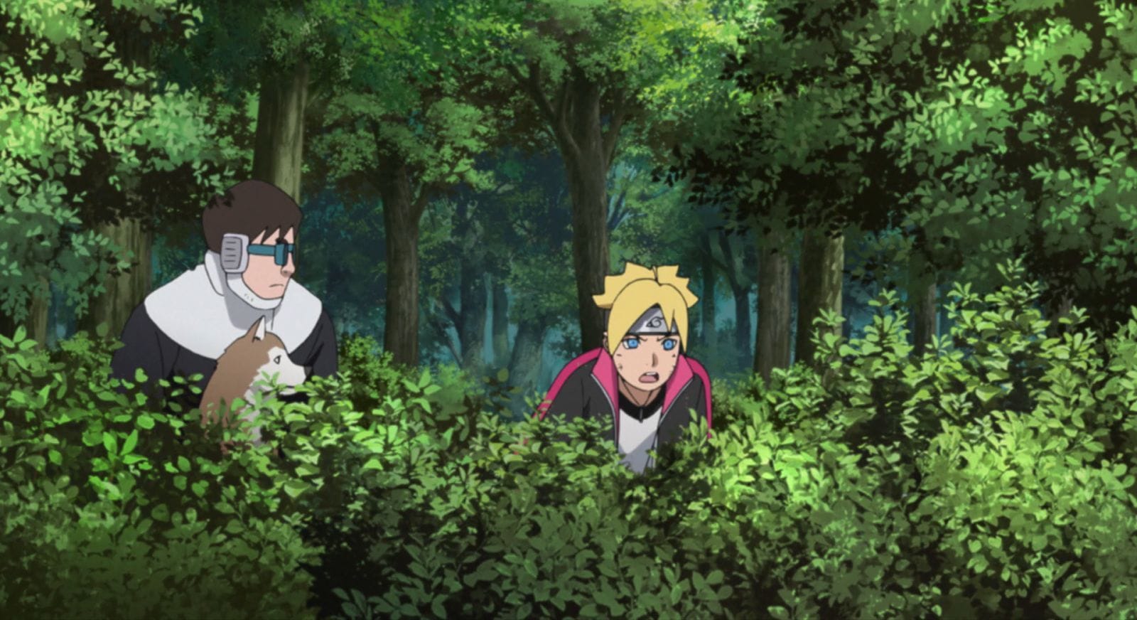 Who is Chamau in Naruto?