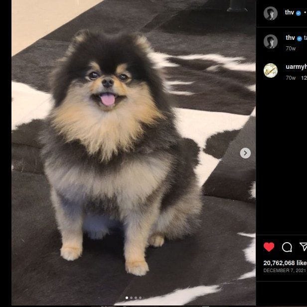 “Record Setter THV”: BTS’ V’s fans congratulate the singer on becoming ...