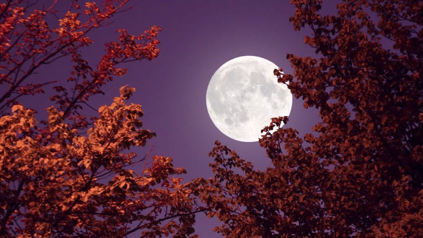 Why is it called the pink moon? Full moon April 2023 astrological ...