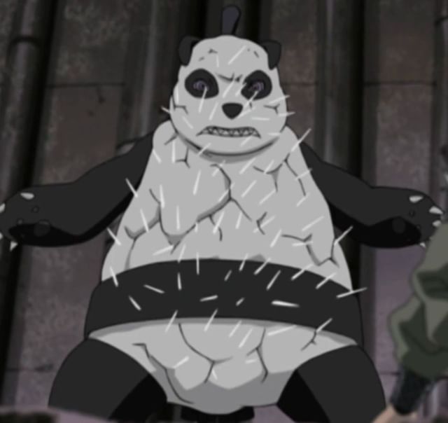 Who is Giant Panda in Naruto?