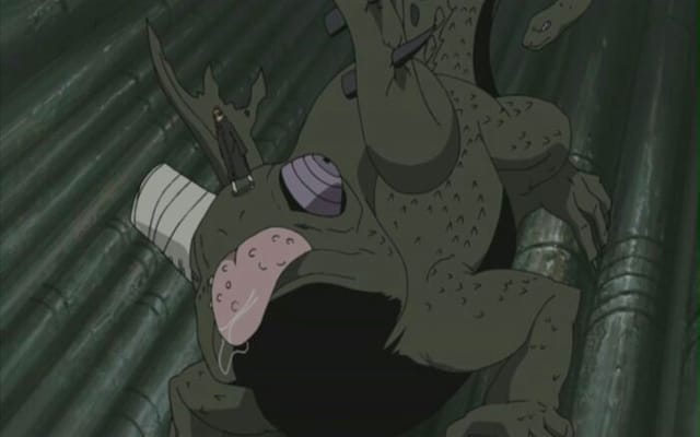 Who is Giant Snake-Tailed Chameleon in Naruto?