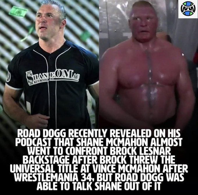 Shane Mcmahon Body