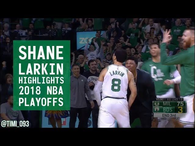 Where is Shane Larkin now and which NBA team did he play for?