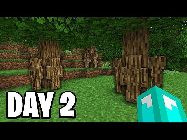 5 Best Minecraft Hide And Seek Servers 5868