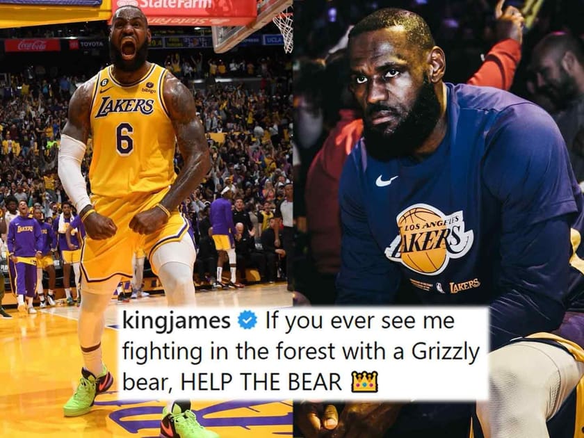"HELP THE BEAR" - LeBron James posts cryptic IG message taking shot at ...