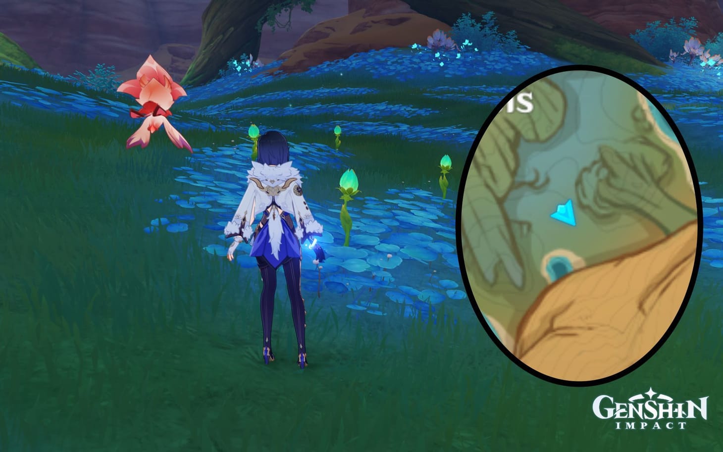 How to purify Sunyata Flowers in Genshin Impact: All puzzle locations ...