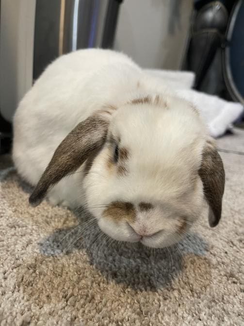 "I never thought he would die" - Mizkif shares an emotional address ...