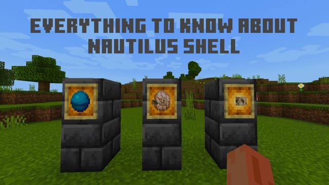How to use Minecraft's nautilus shells in 2023