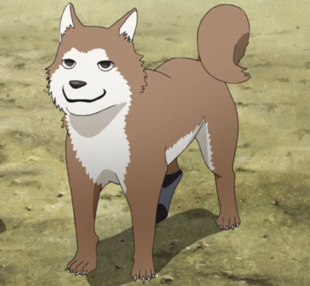 Who is Chamau in Naruto?