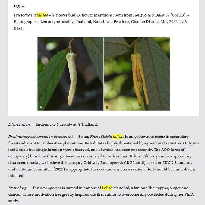 “Both are one in a million”: BLACKPINK’s Lisa’s fans react to her ...