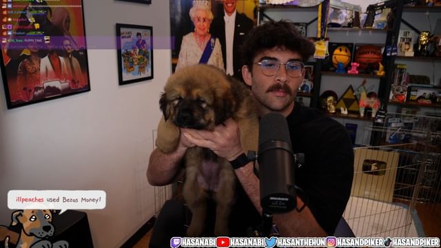 "I'm sobbing!": Fans go wild as HasanAbi reveals his new puppy on ...