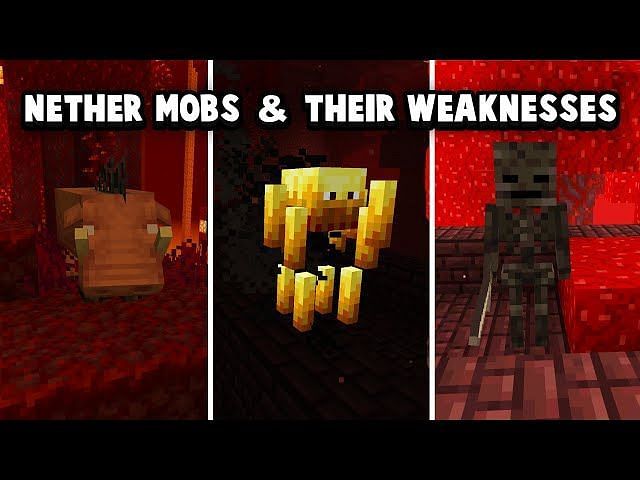 Top 5 Useful Nether Mobs In Minecraft 2023