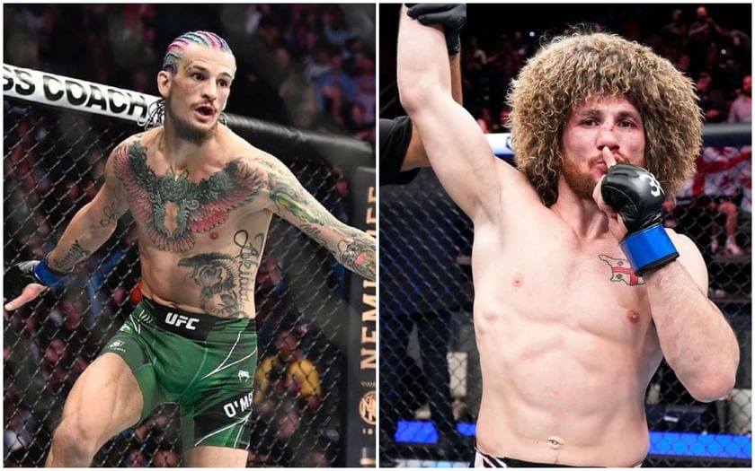 Merab Dvalishvili: Merab Dvalishvili discusses potential Sean O'Malley ...