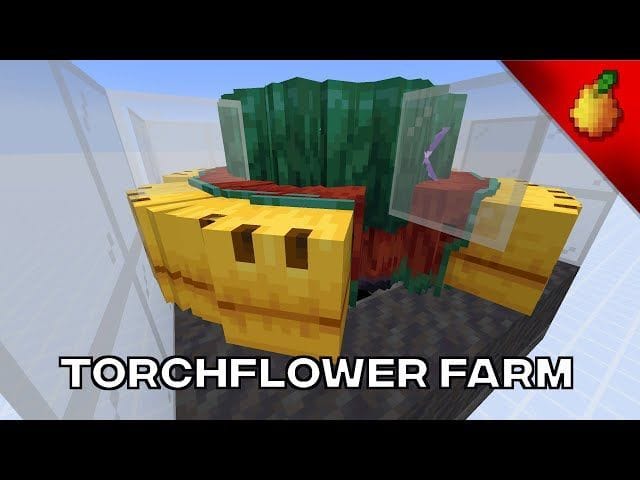 5 best features in Minecraft Preview 1.20.0.20