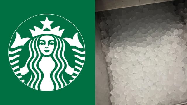 “Bag it and sell it as snacks”: Starbucks’ new pellet ice leaves ...