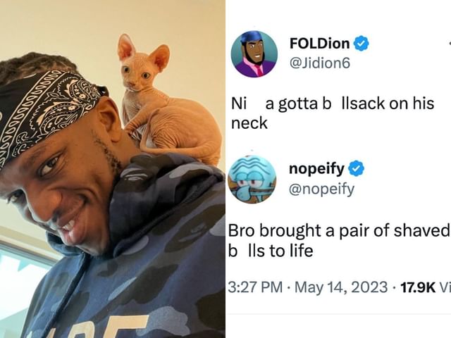 "Got a b*llsack on his neck" - KSI gets trolled after revealing his new cat on Twitter