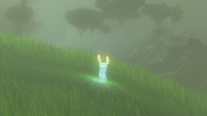 What is the blue spirit rabbit in The Legend of Zelda Tears of the Kingdom?