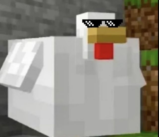 Alexa Real's Profile, Net Worth, Age, Height, Relationships, FAQs