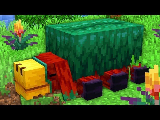 How to breed new mobs in Minecraft 1.20 update