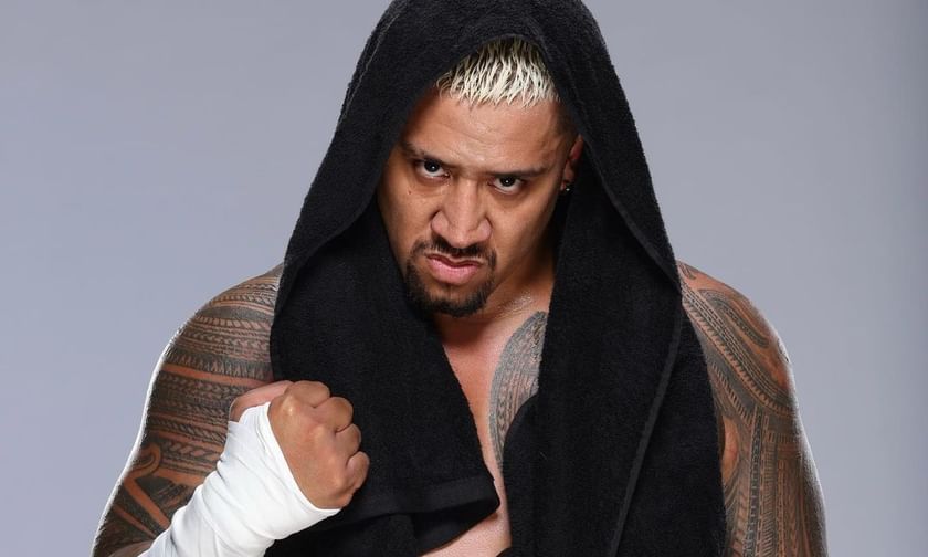 Discover the Fascinating Family Tree of WWE Superstar Solo Sikoa ...