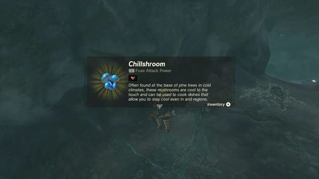 How to complete Crossing the Cold Pool Side Quest in The Legend of ...