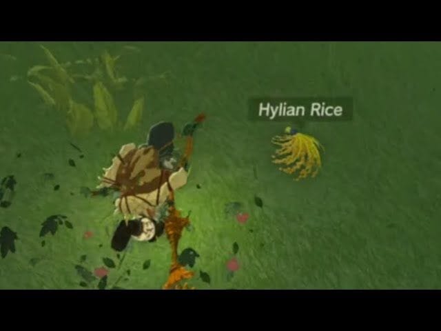 5 easy to cook recipes in The Legend of Zelda Tears of The Kingdom