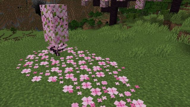 How to get pink petals in Minecraft 1.20 Trails & Tales update