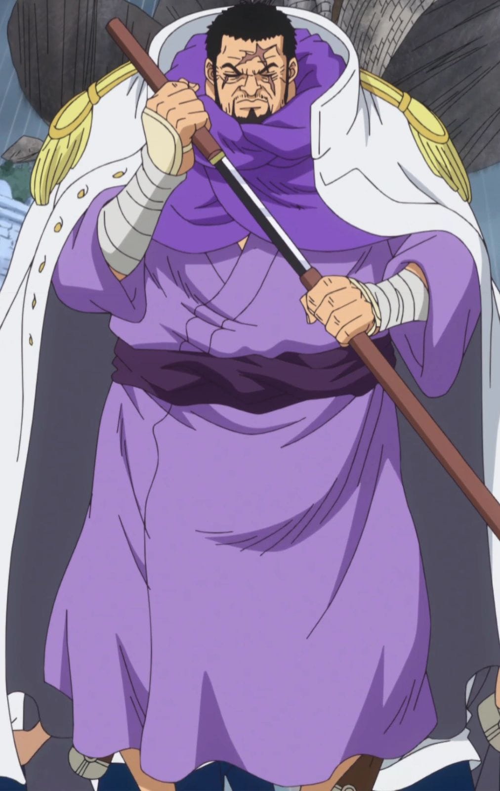 Who is Issho in One Piece?